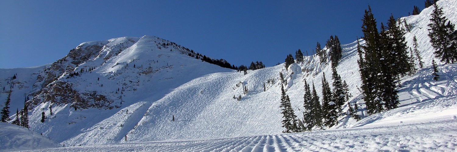 Alta Ski Holidays | Alta skiing | AmericanSkiClassics.com
